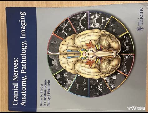 Cranial Nerves Anatomy Pathology Imaging € 40 00 Vendora