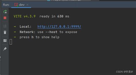 idea里面运行vue3（vite）项目_idea vite-CSDN博客