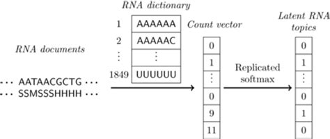 Schematic Illustration Of Encoding Rna Primary Sequence And Secondary Download Scientific