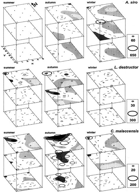 Spatial Pattern Of Clustering Of The Three Most Abundant Mite Species