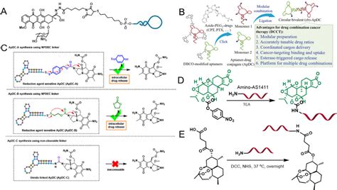 Figure 1 From Recent Progress Of Aptamer‒drug Conjugates In Cancer Therapy Semantic Scholar