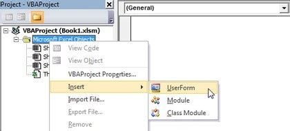 VBA Lesson User Forms UserForm