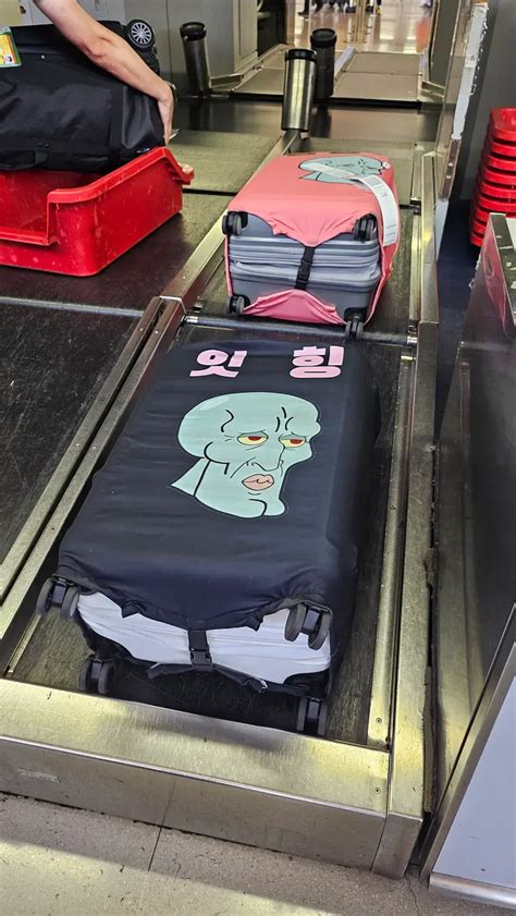 커스텀 캐리어 커버 풀프린팅 커스텀 제작 후기