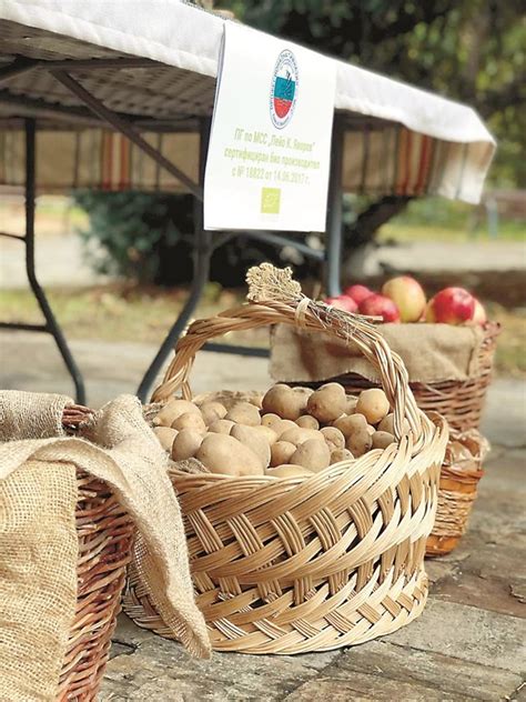 Да възродим селскостопанските училища възможно е Български Фермер