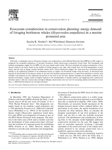 Pdf Ecosystem Consideration In Conservation Planning Energy Demand Of Foraging Bottlenose
