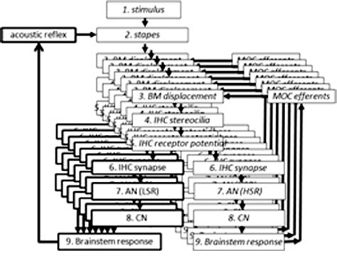 1 Flow Diagram Of The Matlab Auditory Periphery Map Model The Lower Download Scientific