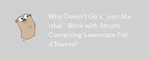 為什麼 go 的 `json marshal` 不支援包含小寫欄位名稱的結構？ golang php中文網