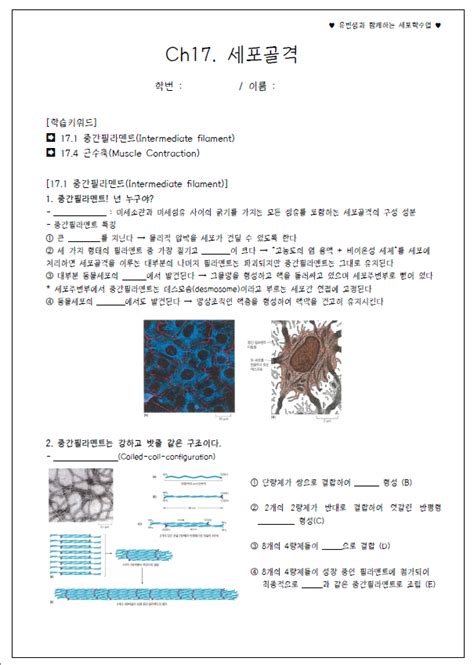 세포학 필수세포생물학 17장 학습지 네이버 블로그