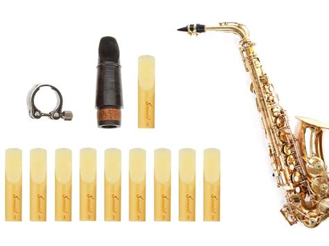 Amazon.com: Sovvid 10 Pack Professional Alto Saxophone Reeds with Plastic Box, Strength 3.0 Alto ...