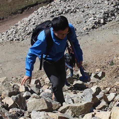 Qing Feng Mei Doctor Of Philosophy Chinese Academy Of Sciences Beijing Cas Institute Of