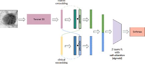 Figure 2 From Multimodal Breast Lesion Classification Using Cross Attention Deep Networks