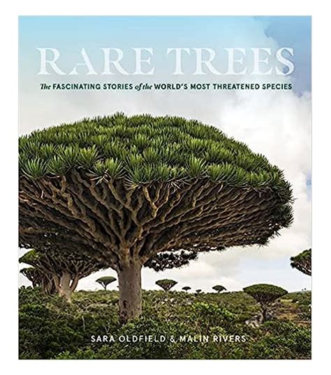 Sara Oldfield Rare Trees El Palacio De Hierro