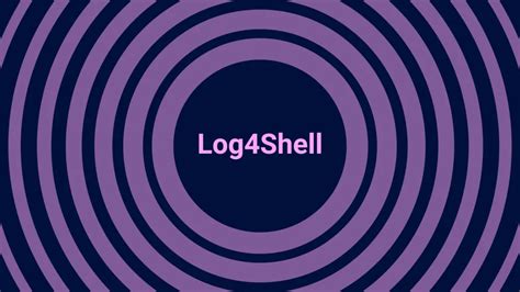 Overcoming Log4shell With Continuous Controls Monitoring Panaseer