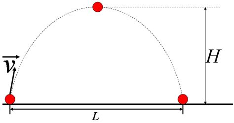 Vector V