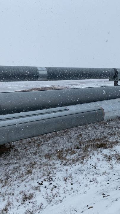 Clifford Sheehan On Linkedin Winter Has Arrived At Work 18 Comments