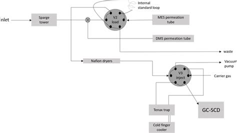 A Schematic Layout Of The Dms Analysis System For Measuring Dissolved Download Scientific