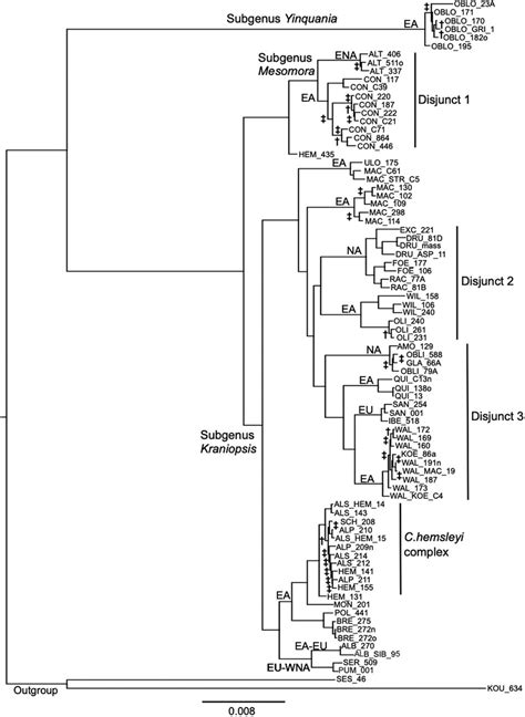 The Maximum Likelihood Tree Generated From Raxml With 1000 Bootstrap