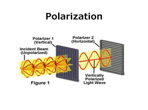SOLUTION Polarisation And Diffraction Studypool