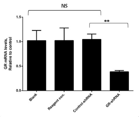 Expression Of Gr Mrna In Human Mdms By Quantitative Rt Qpcr Bar Graph