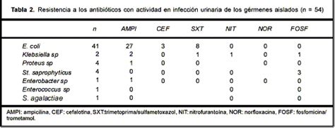 Fosfomicina Trometamol Una Opción Terapéutica Válida En Infecciones Urinarias Bajas