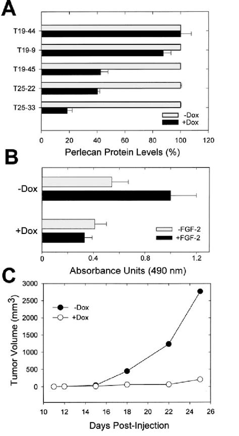 Conditional Suppression Of Mouse Perlecan Caused By Download Scientific Diagram