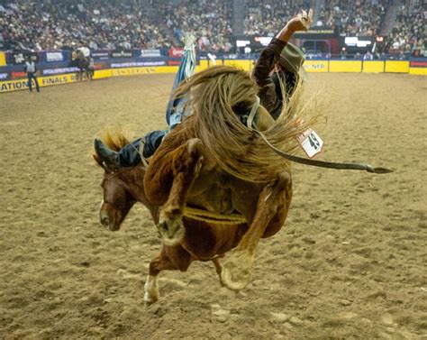 Rodeo Fans To Enjoy A Variety Of On Site Entertainment Prior To And
