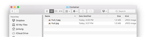 Dealing With Tampered Containers In FileMaker Pro LuminFire