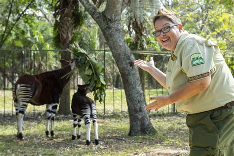Walt Disney World Celebrates World Okapi Day