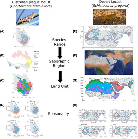 The Hierarchical Structure Of Australian Plague Locust A D And Download Scientific Diagram