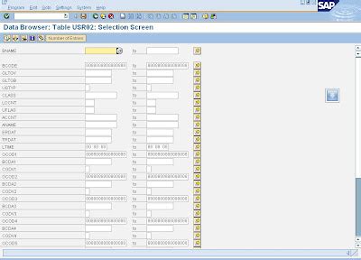 Sap Basis Sap Security Tips N Tricks Info The Se Tcode