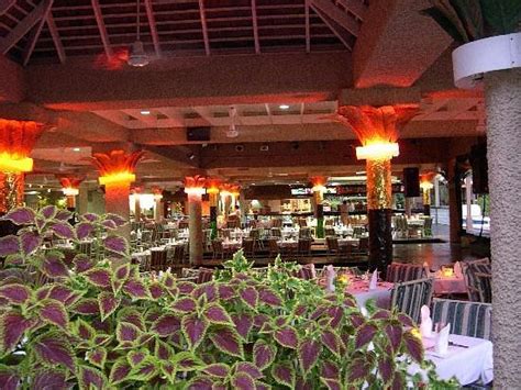 Resorts Hedonism Hedonism Ii Resort Updated 2024 Prices And Resort