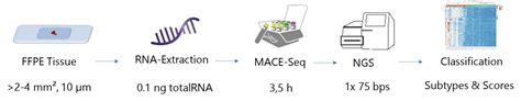 Mace The Smart Rna Seq Alternative 3 Mrna Seq Tagseq