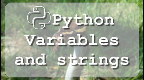 5 Learn To Use Python Variables And Strings Youtube