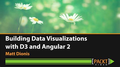Watch Building Data Visualizations With D3 And Angular 2 Prime Video
