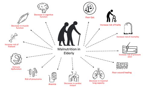 Effect Of Malnutrition On The Elderly Population Download Scientific