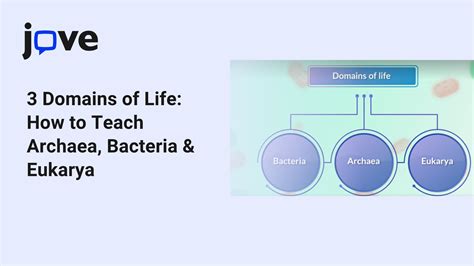 3 Domains Of Life How To Teach Archaea Bacteria And Eukarya