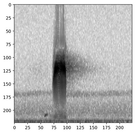 Preprocess Audio Samples — Opensoundscape 0120 Documentation