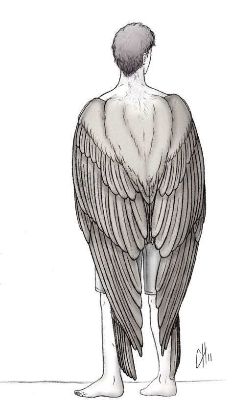 Icarus Wings Drawing Easy At John Pavon Blog