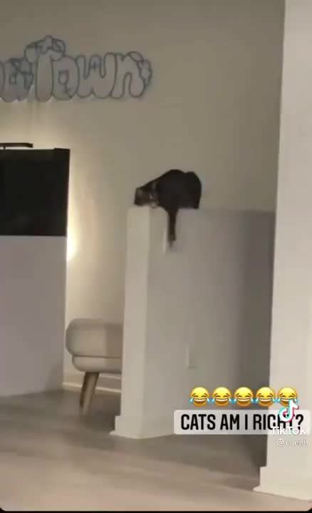 Imgur Asking Me Every Fucking Time When I Highlight Something For Me