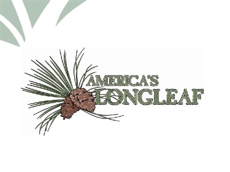 click to edit master title style click to