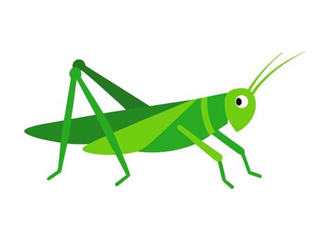 Grasshopper Vector Art On White Background Premium Ai Generated Vector