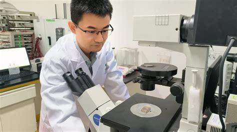 chinese scientists develop self propelled robots to clean up