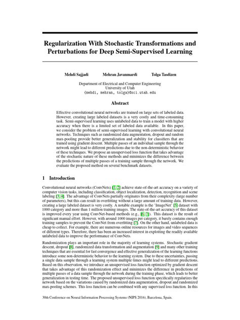 6333 regularization with stochastic transformations and perturbations