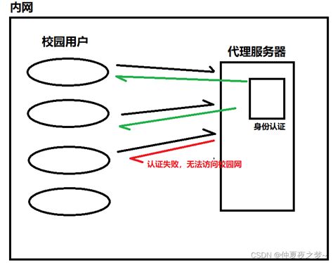 代理服务器的几种使用场景校园网代理服务器作用 Csdn博客