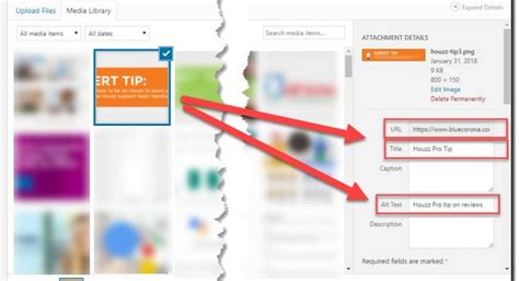 ALT Tags For Images What They Are What They Are For And How To Optimize Them For SEO