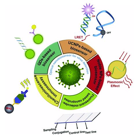 Schematic Diagram Of Optical Nanobiosensors Used To Detect Pathogenic