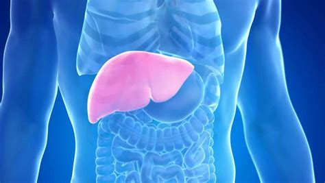Cholangitis Radiology Insights And Imaging Tips