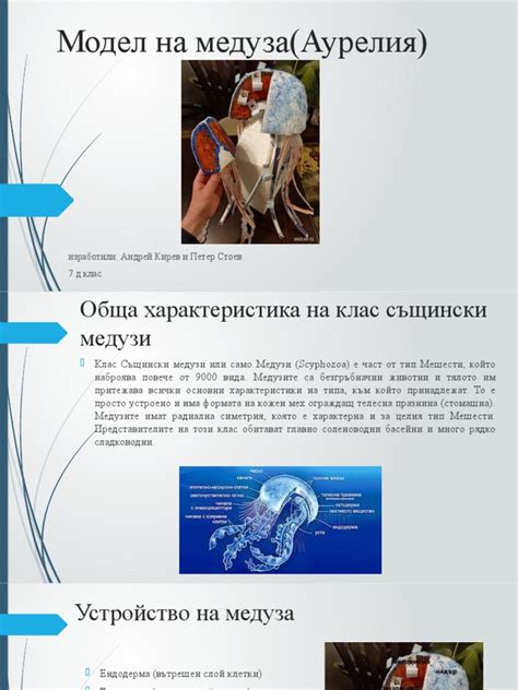 Модел на медуза Аурелия Pdf