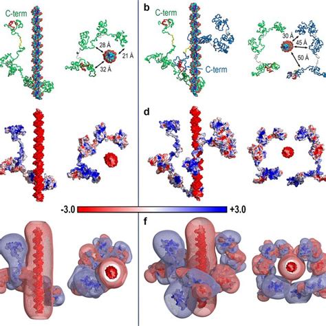 Sequence And Structural Features Of Dsup And Dsup Like Proteins A Download Scientific