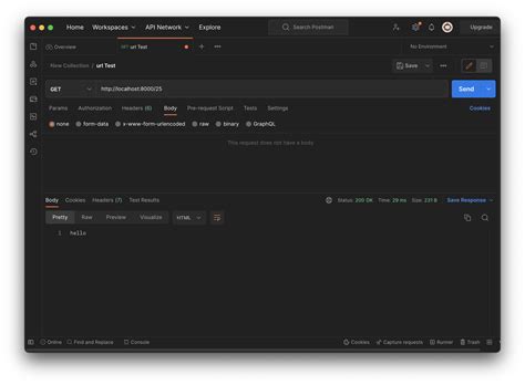Req Body Param Query